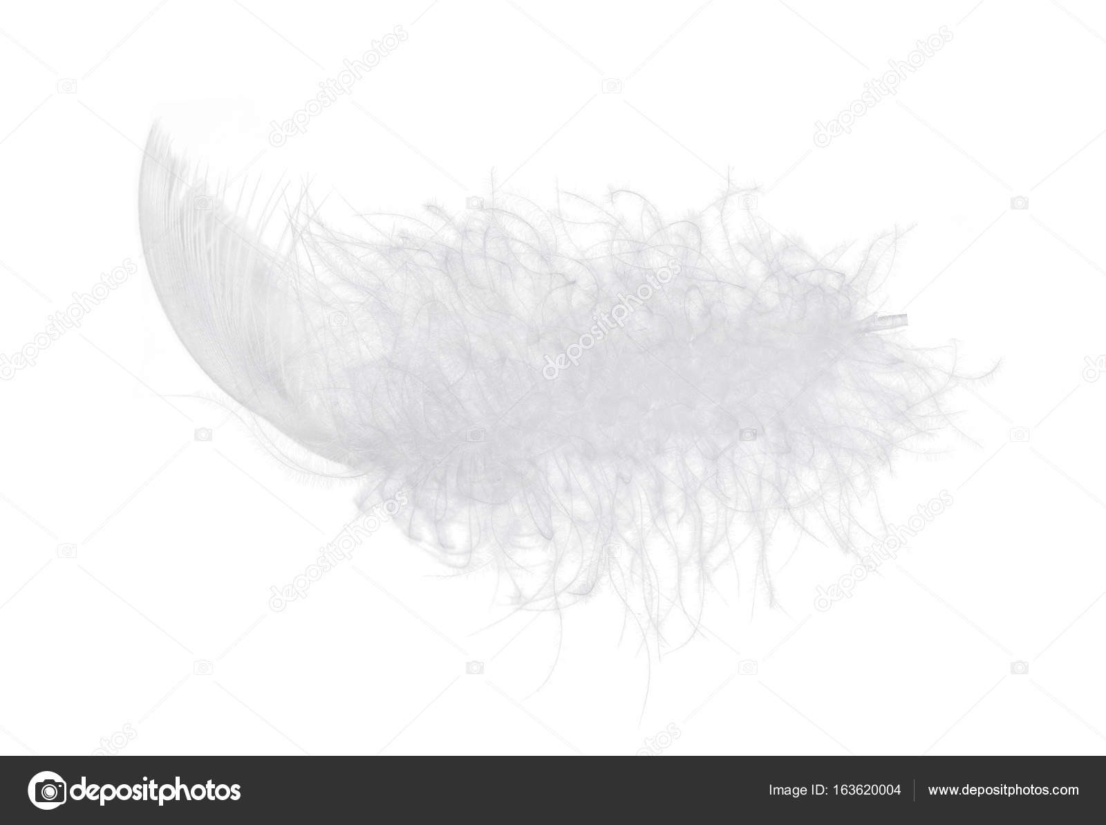 Pluma esponjosa ligera aislada sobre fondo blanco . — Foto de stock © R ...