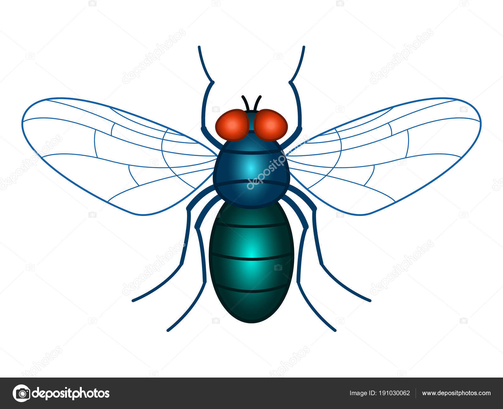Ilustración de insectos mosca Vector de stock #191030062 de ©AlexanderZam