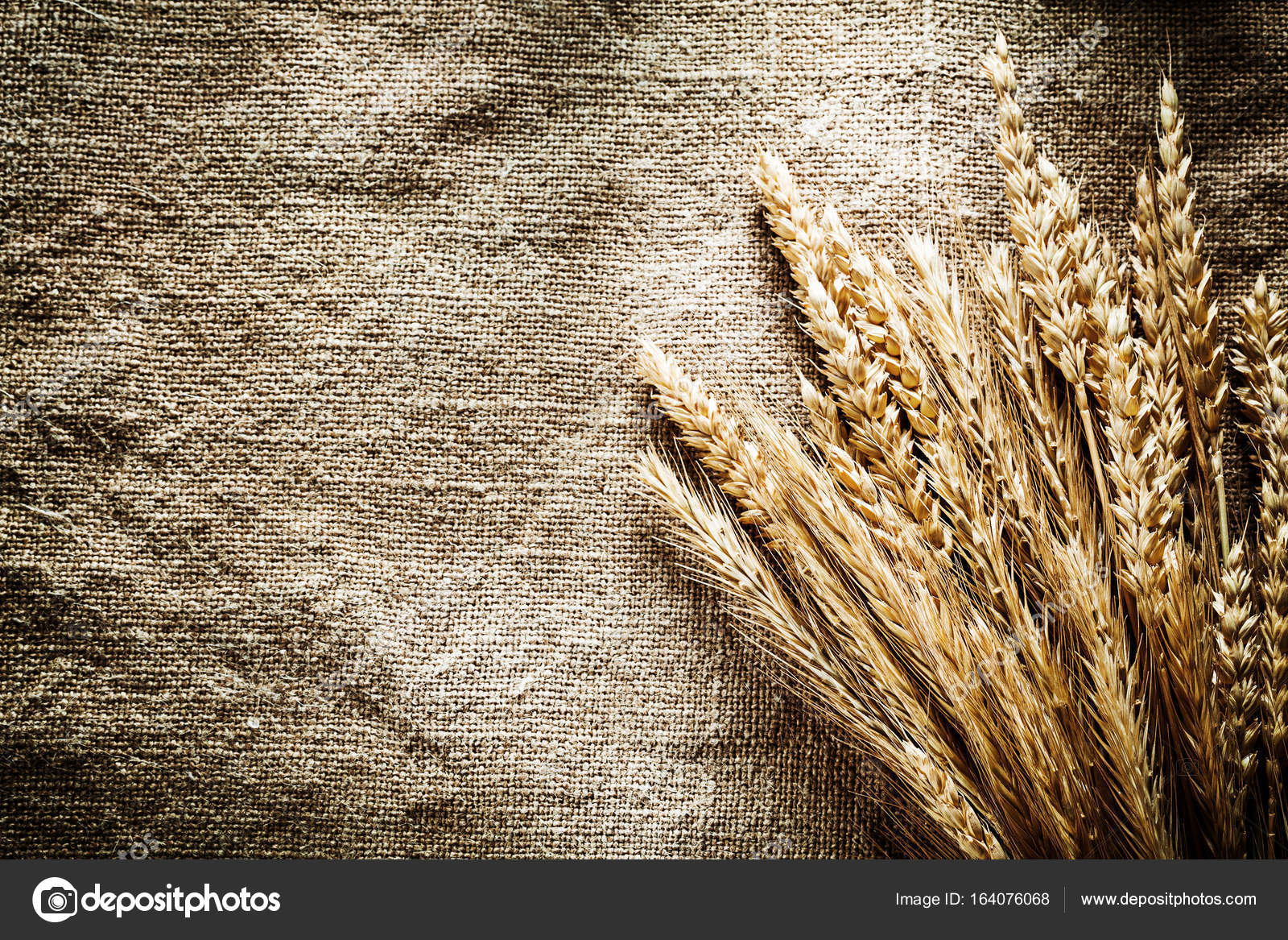Rye ears on sacking background Stock Photo by ©mihalec 164076068