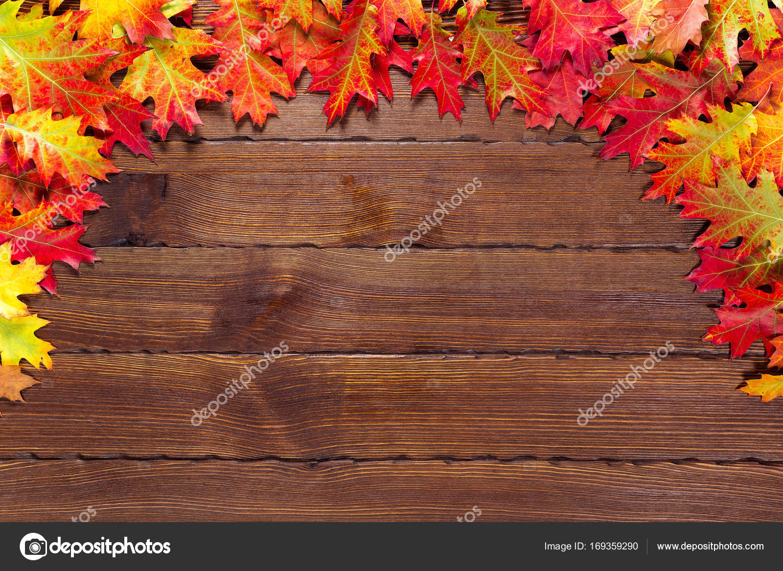 Frame of autumn foliage Stock Photo by ©jeka2009 169359290
