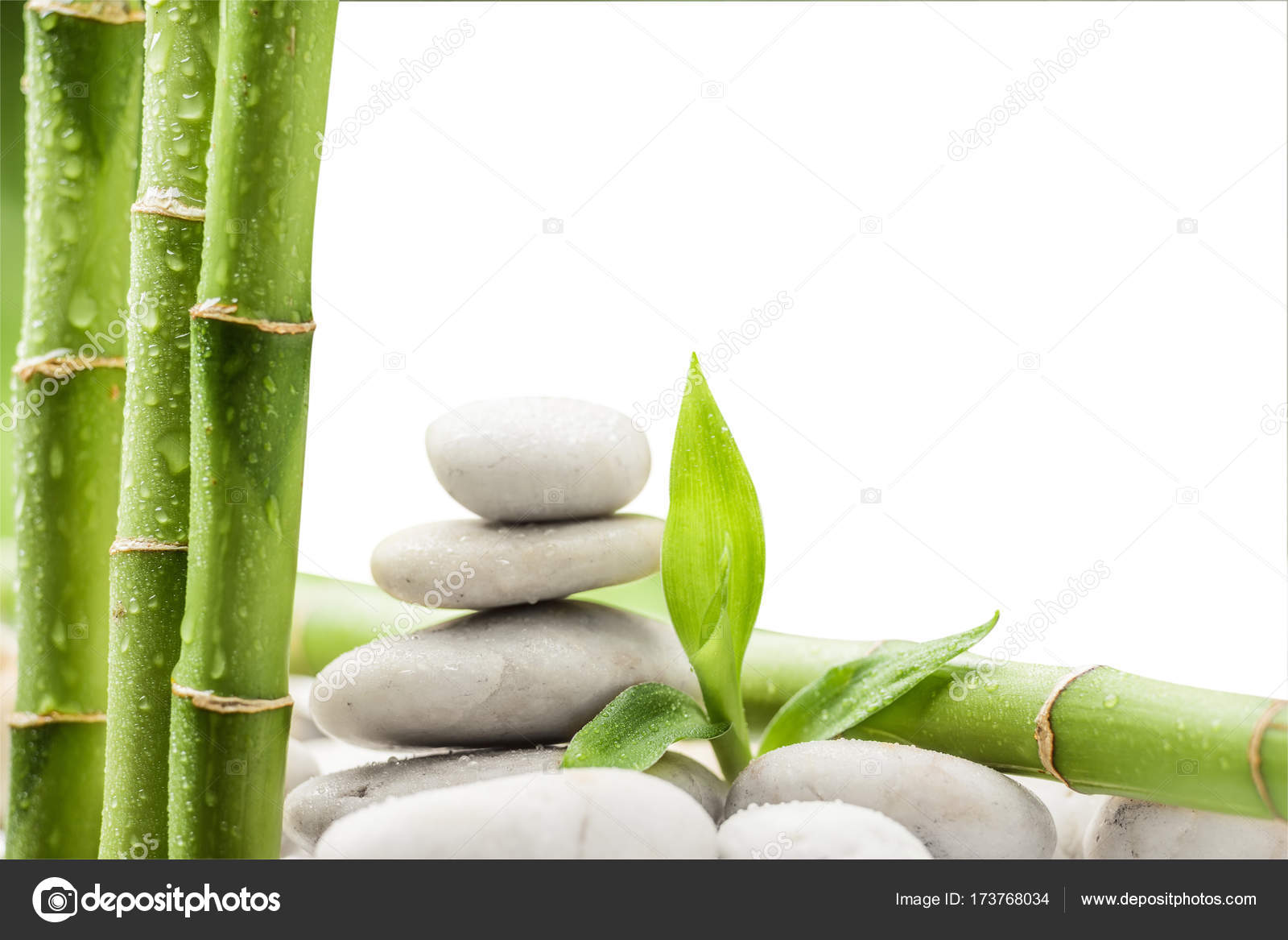 Bamboo Stone