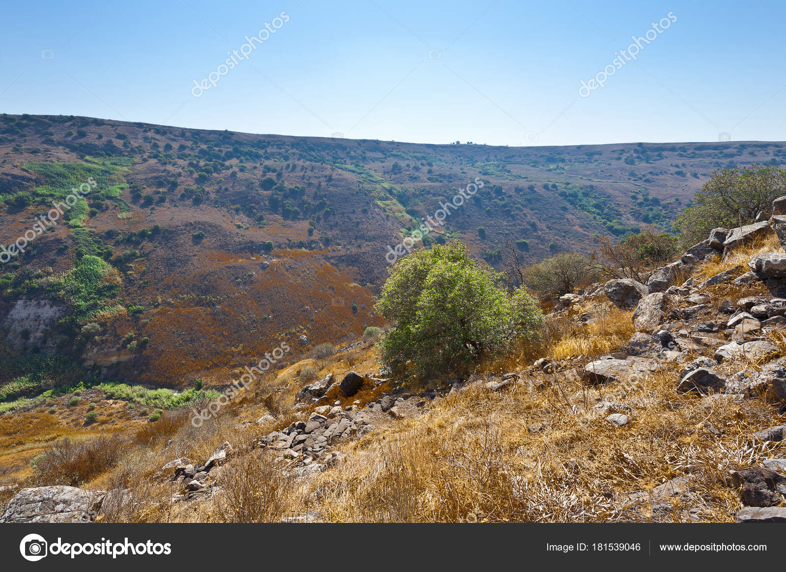 Gamla Nature Reserve Located Golan Heights Israel View Archaeological ...
