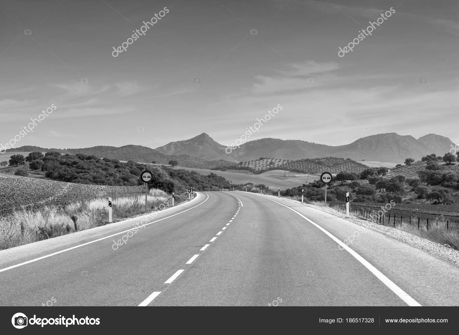 Mysterious Spanish road Stock Photo by ©ggkuna 186517328