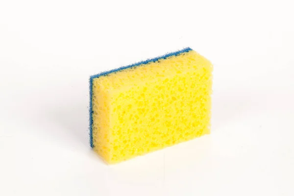 Laboratory sponge Stock Photos, Royalty Free Laboratory sponge Images ...