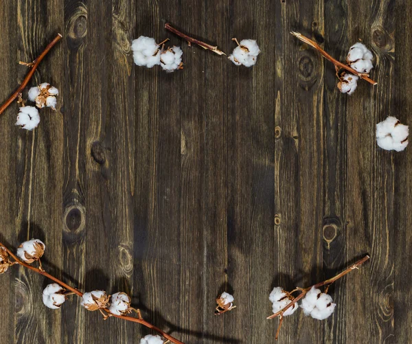 Cotton flowers frame Stock Photo by ©Shebeko 125696448