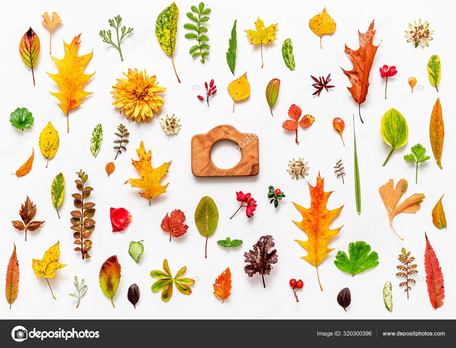 Autumn Flat Lay White Stock Illustration by ©Shebeko #320300396