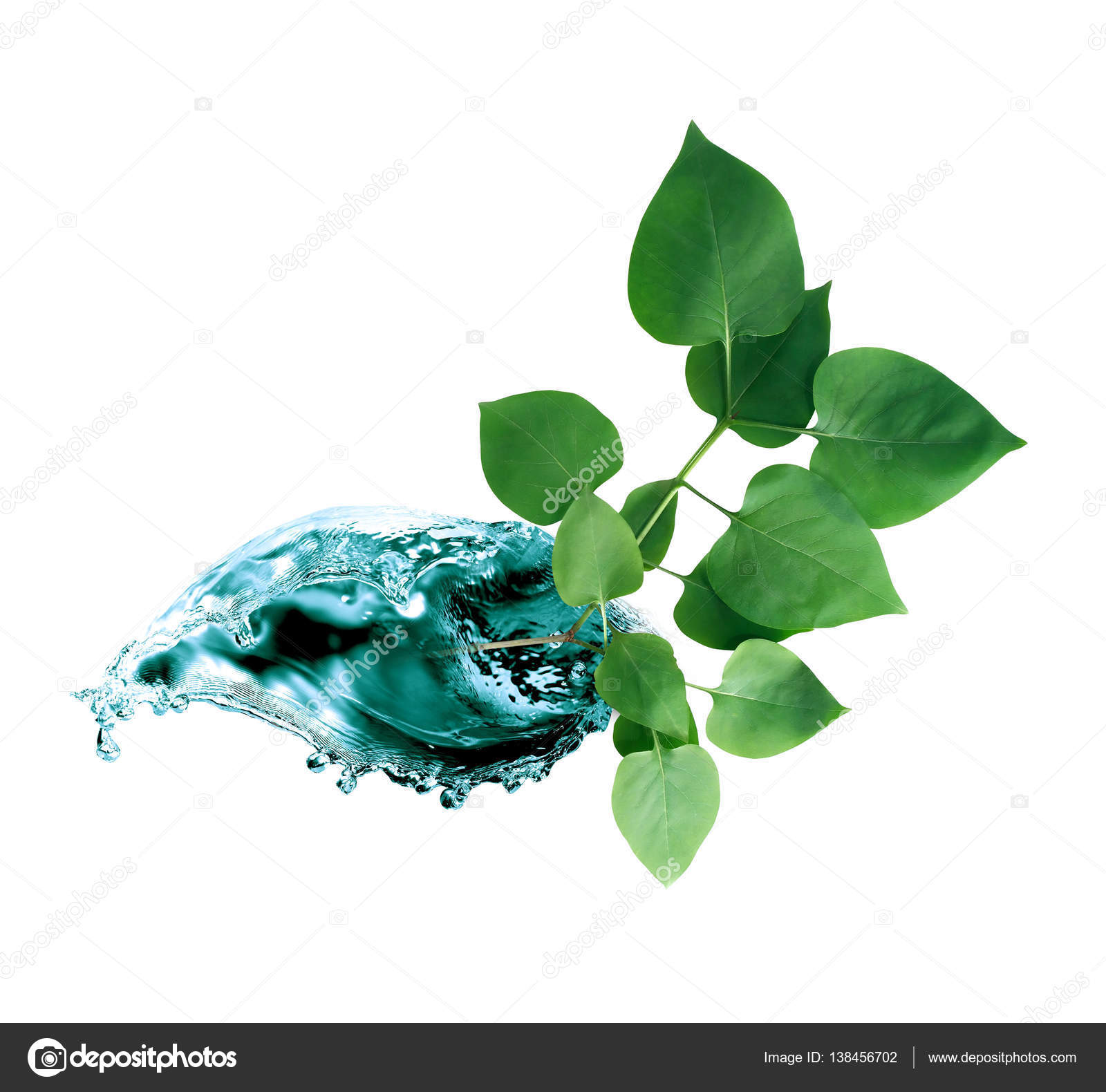 Leaf In Water Splash Stock Photo by ©kvkirillov 138456702
