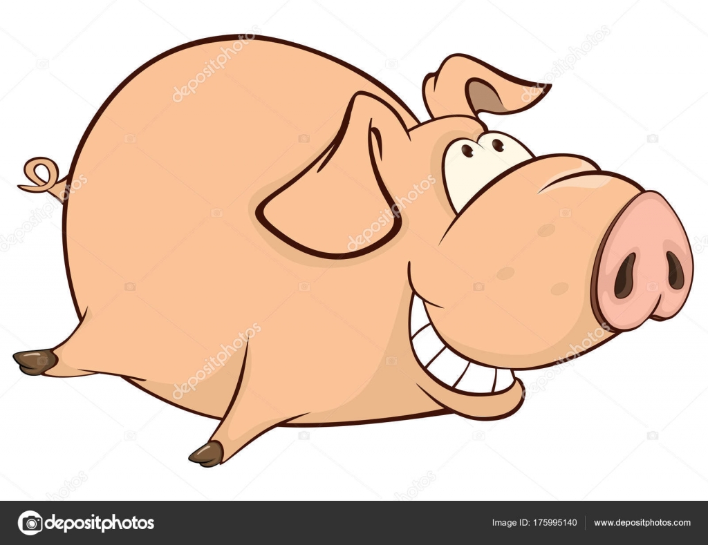 Vector Illustration Nosy Cartoon Pig Stock Vector Image by ©liusaart ...