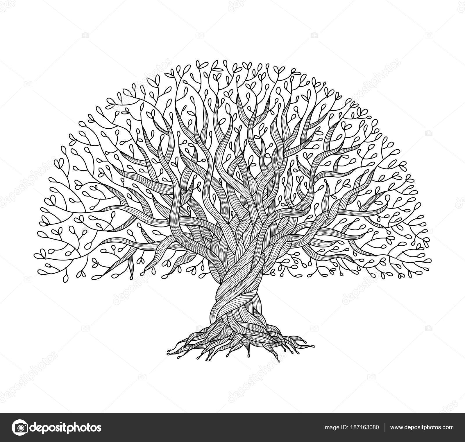 Big Tree Drawing With Roots