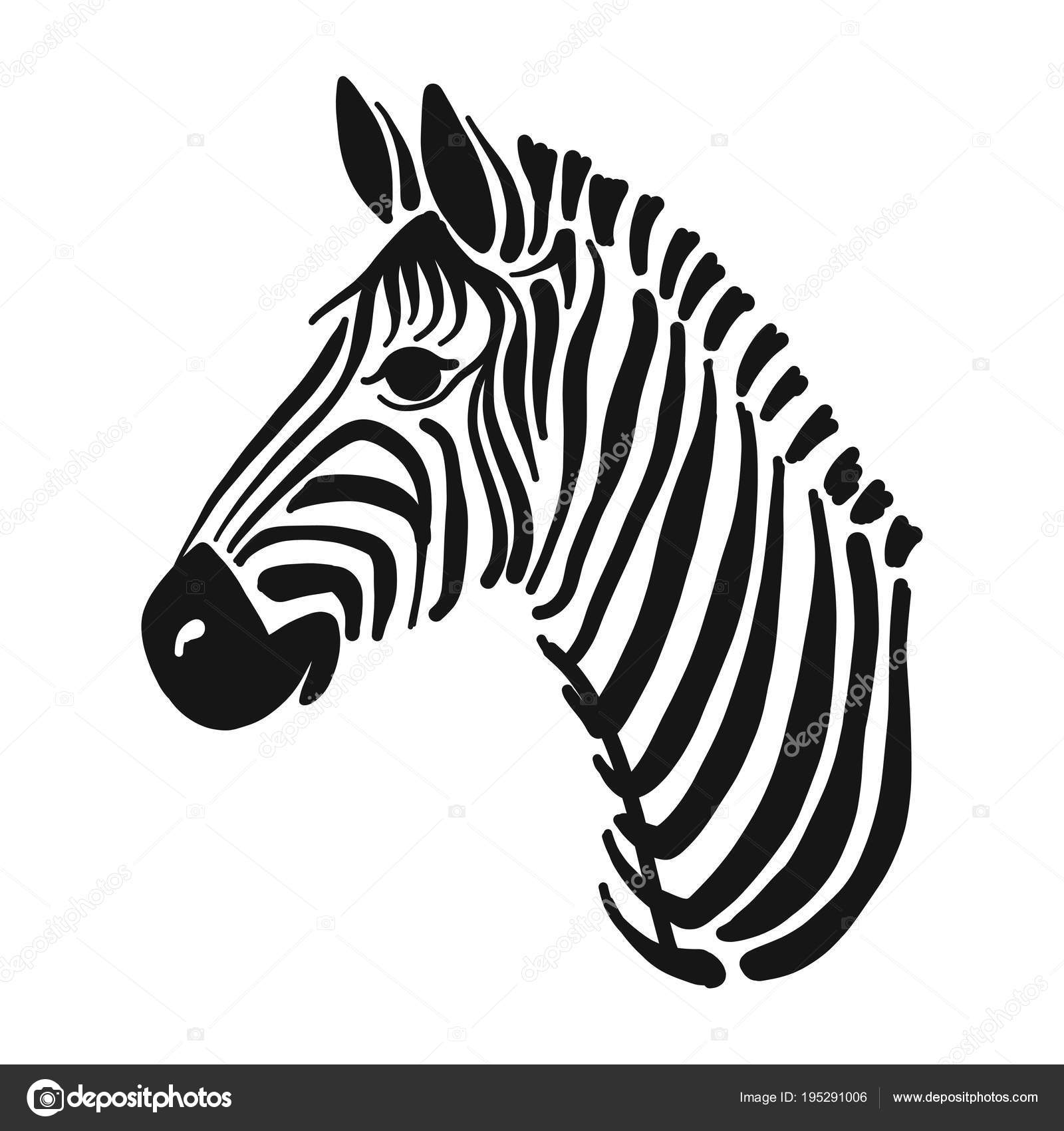 Cute Zebra Outline