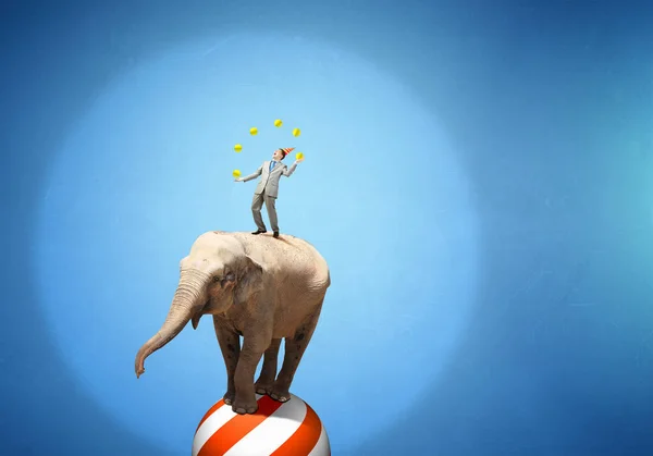 Juggler Stock Photos, Royalty Free Juggler Images | Depositphotos