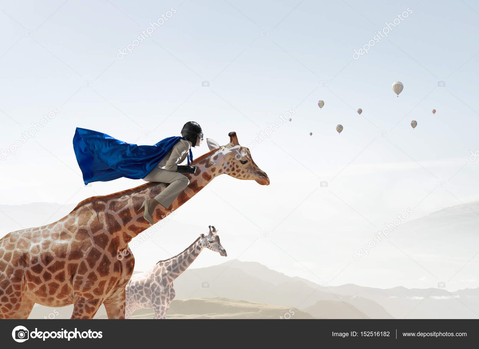 Giraffe Riding