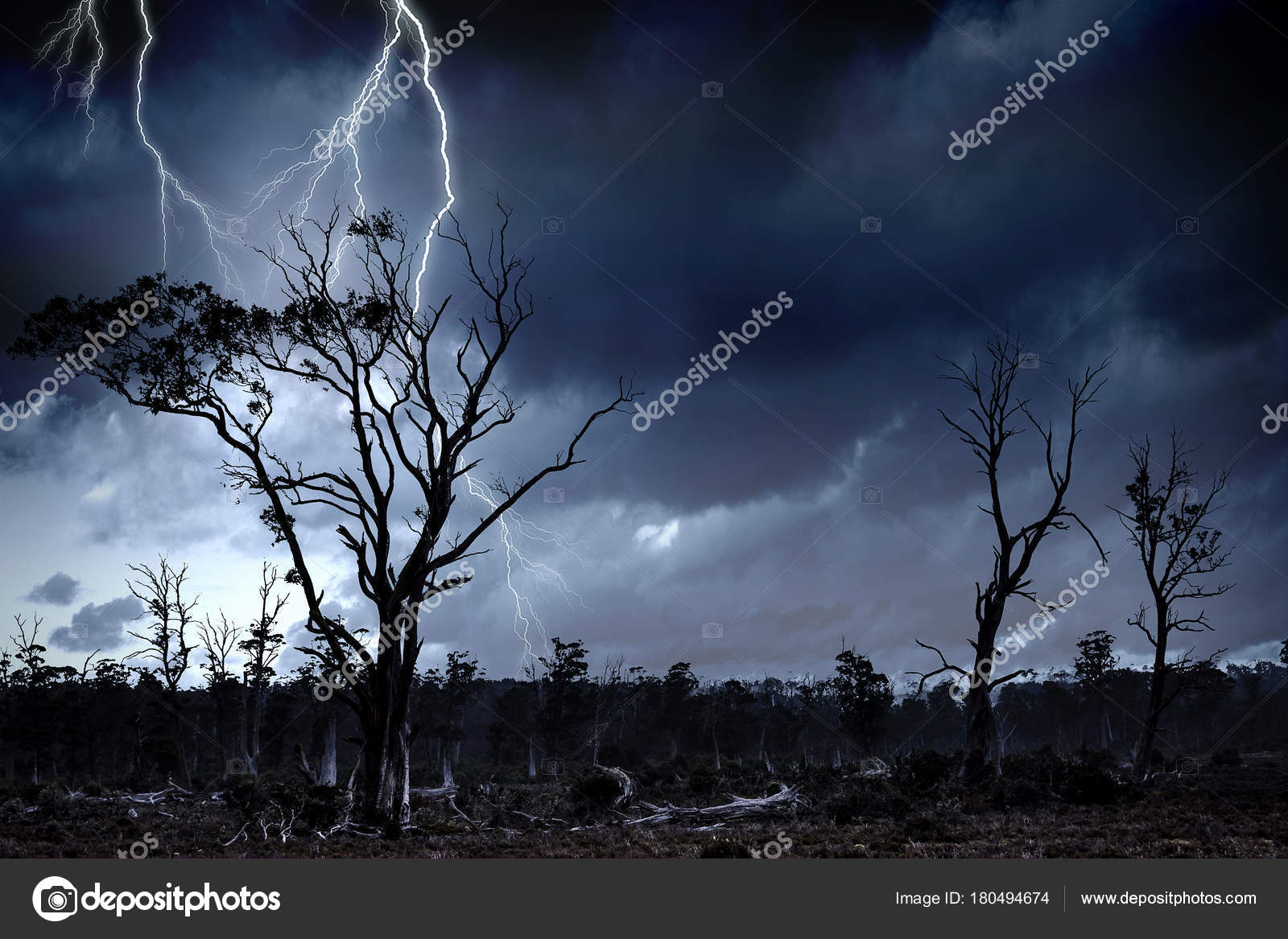 Bright lightning hit the tree — Stock Photo © SergeyNivens #180494674