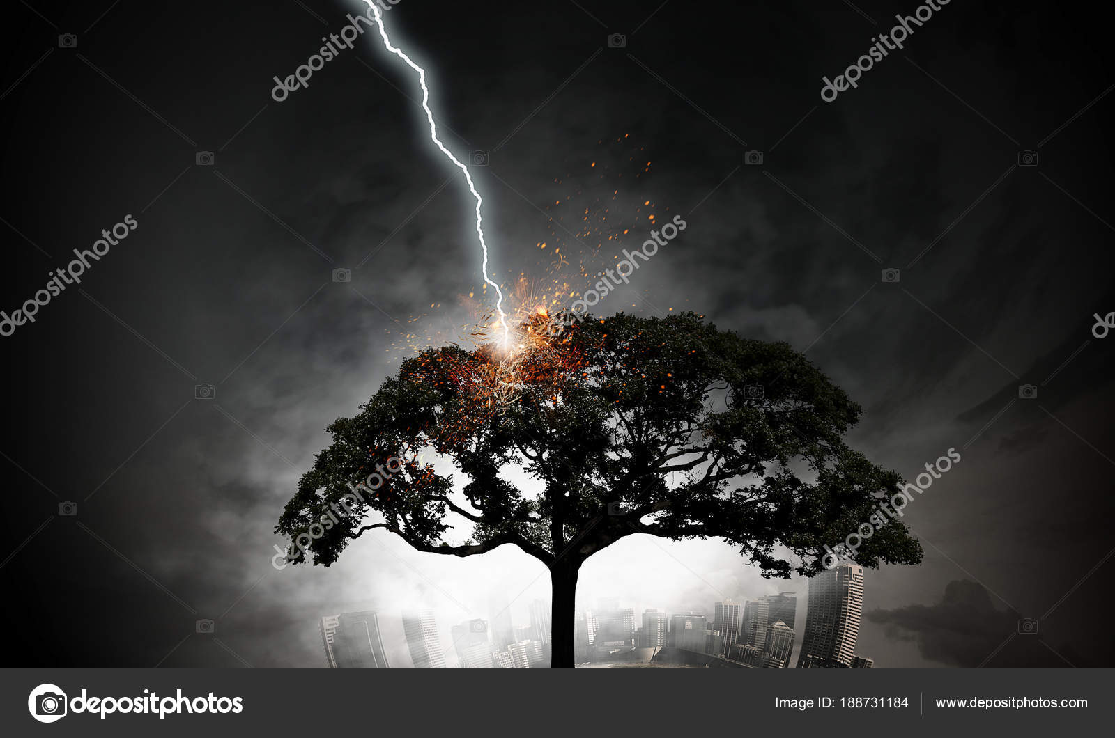 Bright lightning hit the tree Stock Photo by ©SergeyNivens 188731184