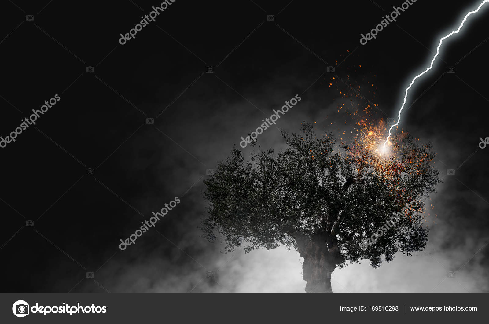 Bright lightning hit the tree Stock Photo by ©SergeyNivens 189810298