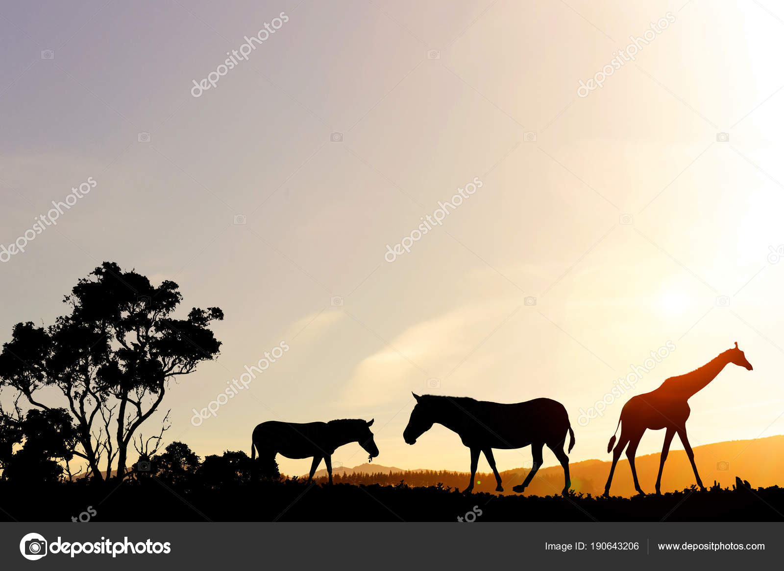 Safari sunset landscape — Stock Photo © SergeyNivens #190643206