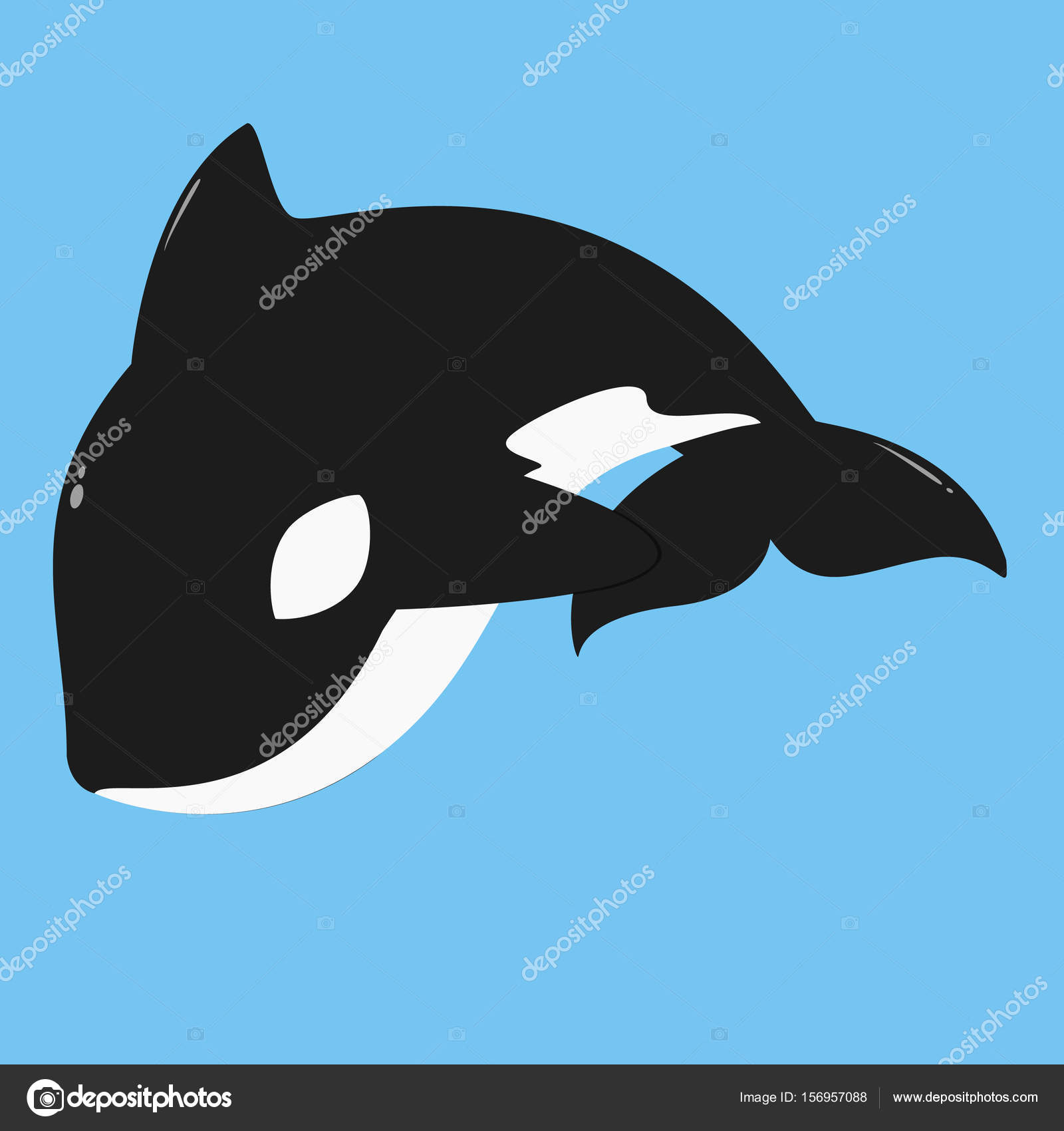 Killer Whale, Orca Vector Stock Illustration by ©azuaya25 #156957088