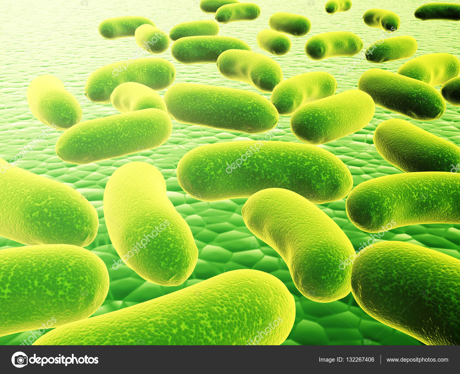 Pathogen bacteria on the surface — Stock Photo © frenta #132267406