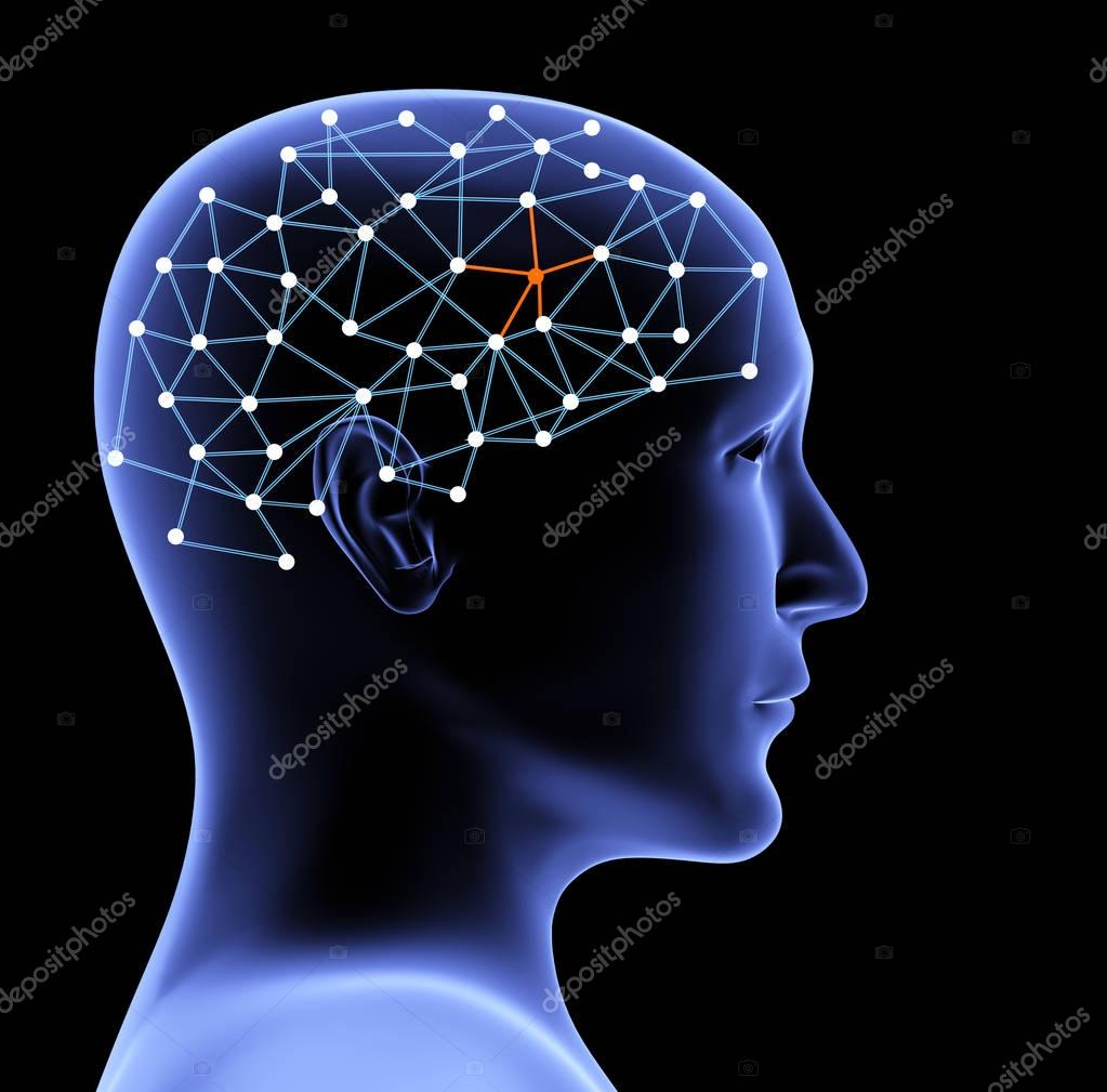 Cabeza 3d transparente de la persona y el cerebro 2025