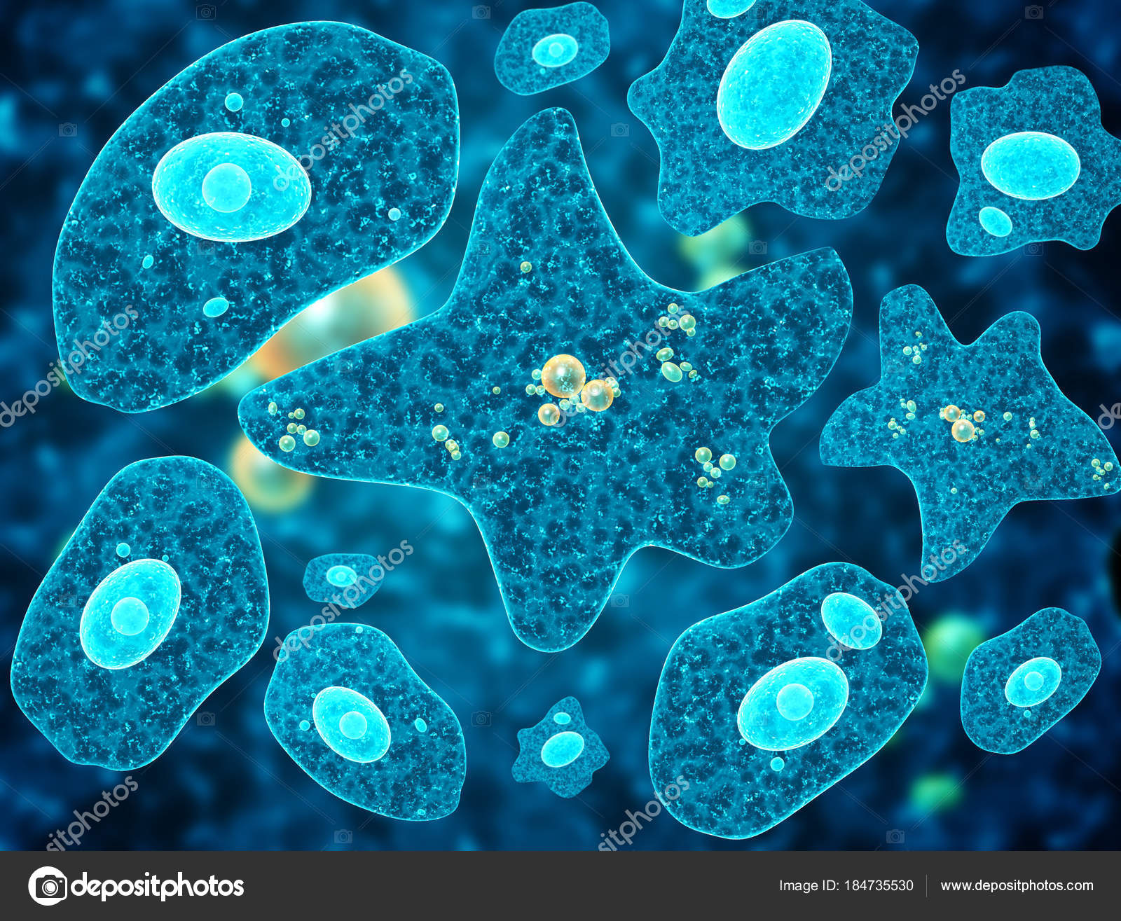Amoebas on abstract blue background — Stock Photo © frenta #184735530