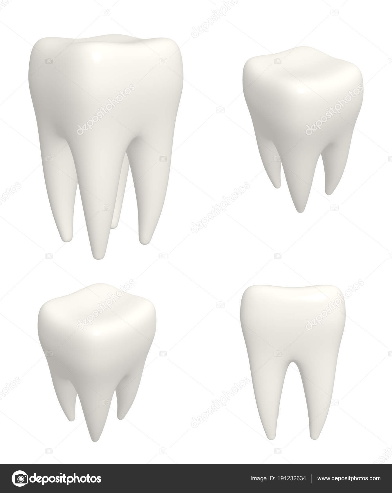 Set of human teeths 3d models. View from different angles — Stock Photo ...