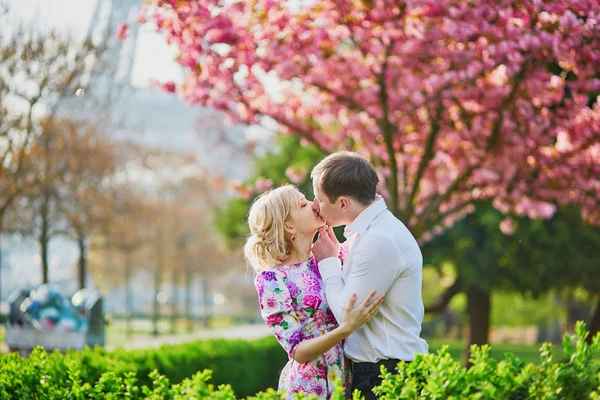 Naturaleza Creativa Amor Primavera