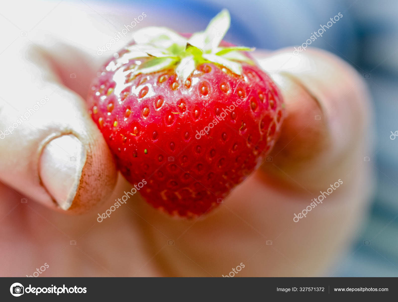 Strawberry in a hand. — Stock Photo © Ratikova #327571372