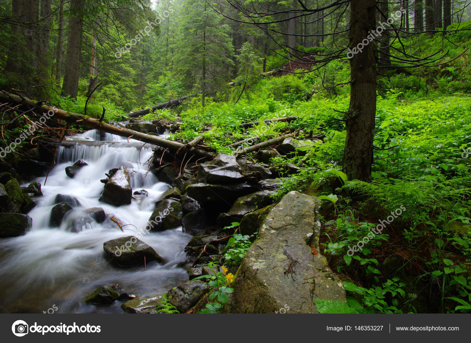 Mountain river in forest. — Stock Photo © Ale-ks #146353227