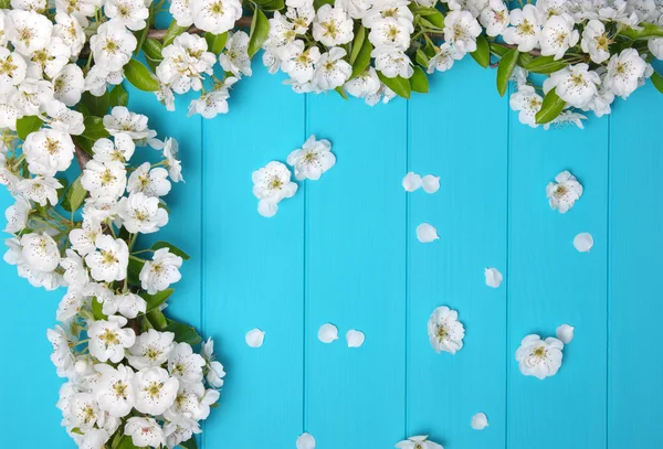 Flores celeste fotos de stock, imágenes de Flores celeste sin royalties ...