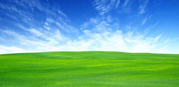 Microsoft windows background Stock Photos, Royalty Free Microsoft ...