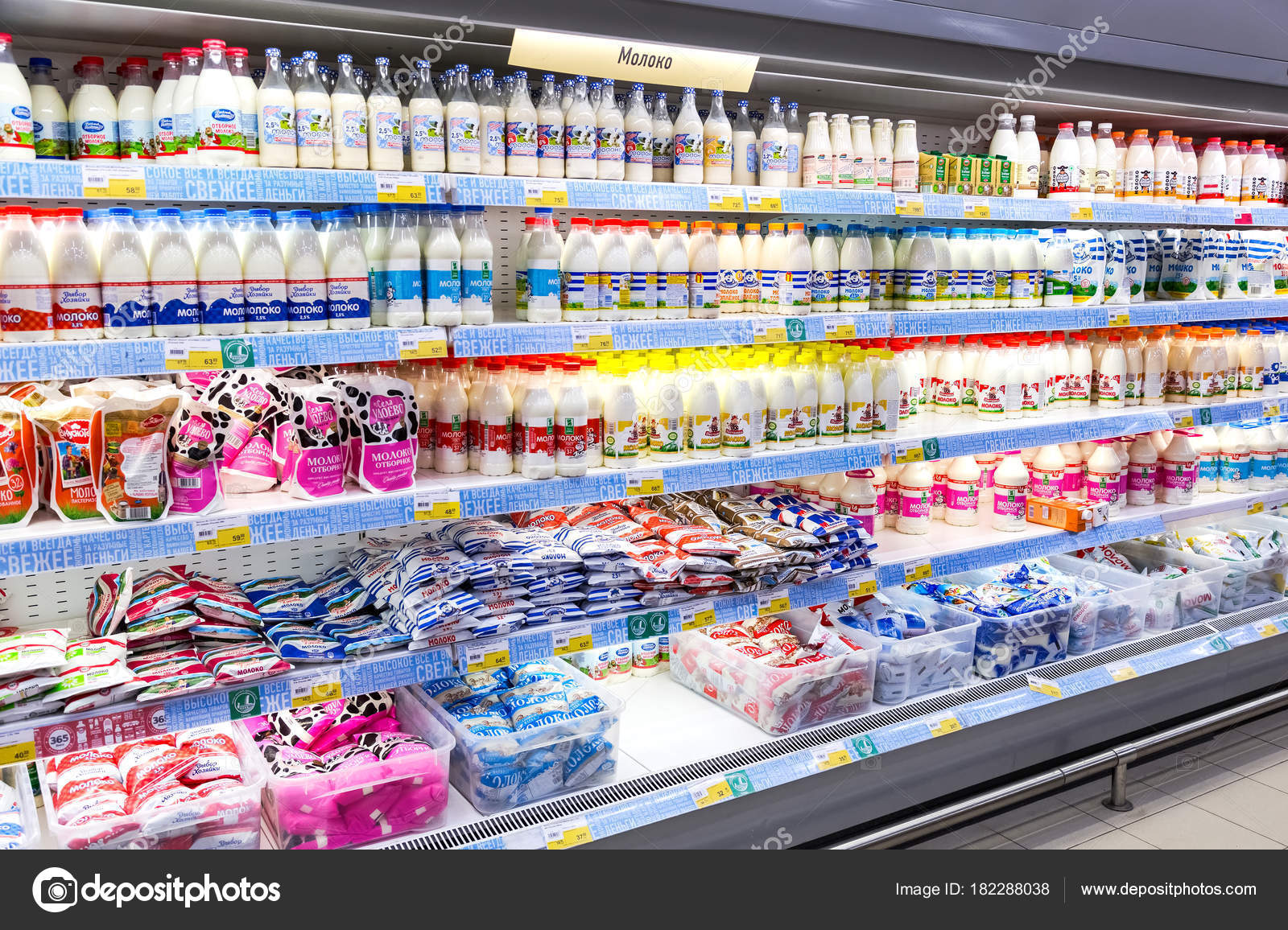 Grocery Store Dairy Section