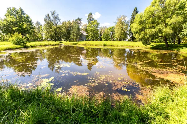 Summer landscape with pond Stock Photos, Royalty Free Summer landscape ...