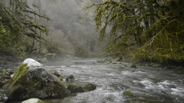 Mountain streams. Water ripples. Surface of the water — Stock Video ...