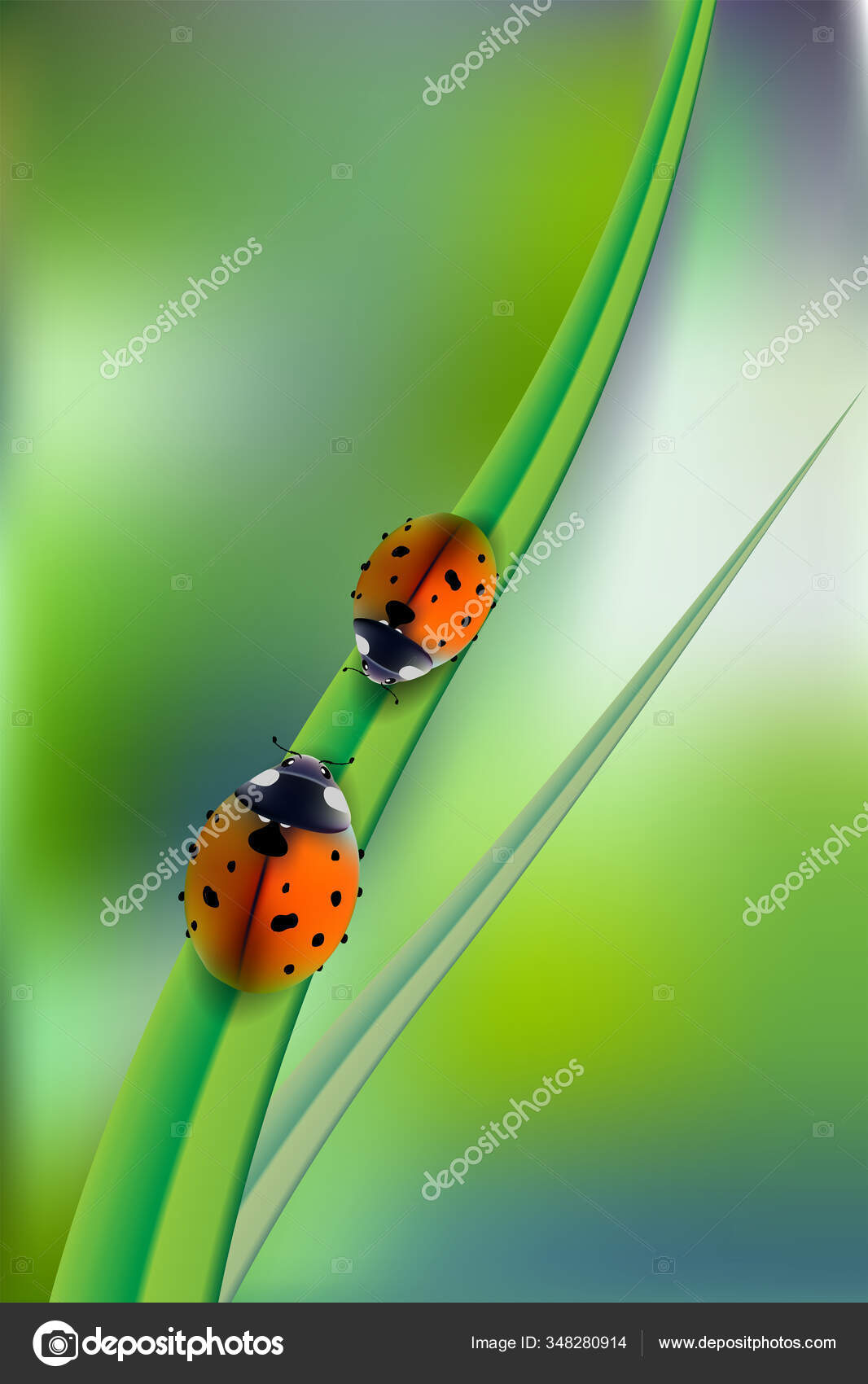 Beautiful Background Green Grass Ladybug Vector Green Nature Background ...
