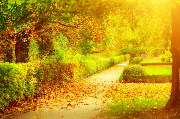 Sunny pathway Stock Photos, Royalty Free Sunny pathway Images ...