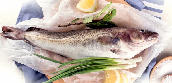 Cod fish Stock Photos, Royalty Free Cod fish Images | Depositphotos