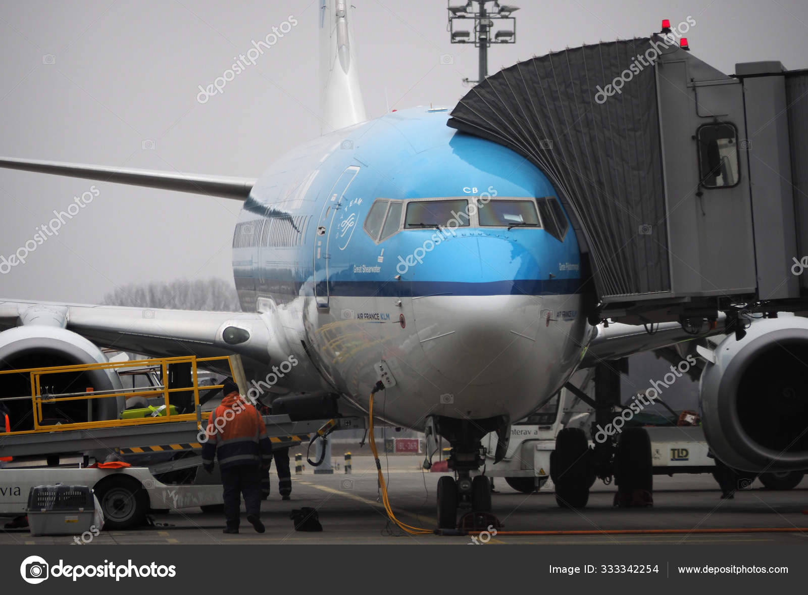 The plane Boeing 737-800 of KLM has landed at the airport Borys — Stock ...