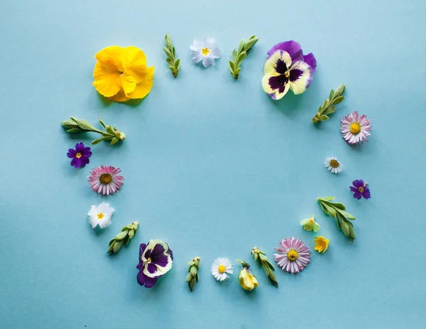 Spring flowers frame — Stock Photo © oksixx #150461142