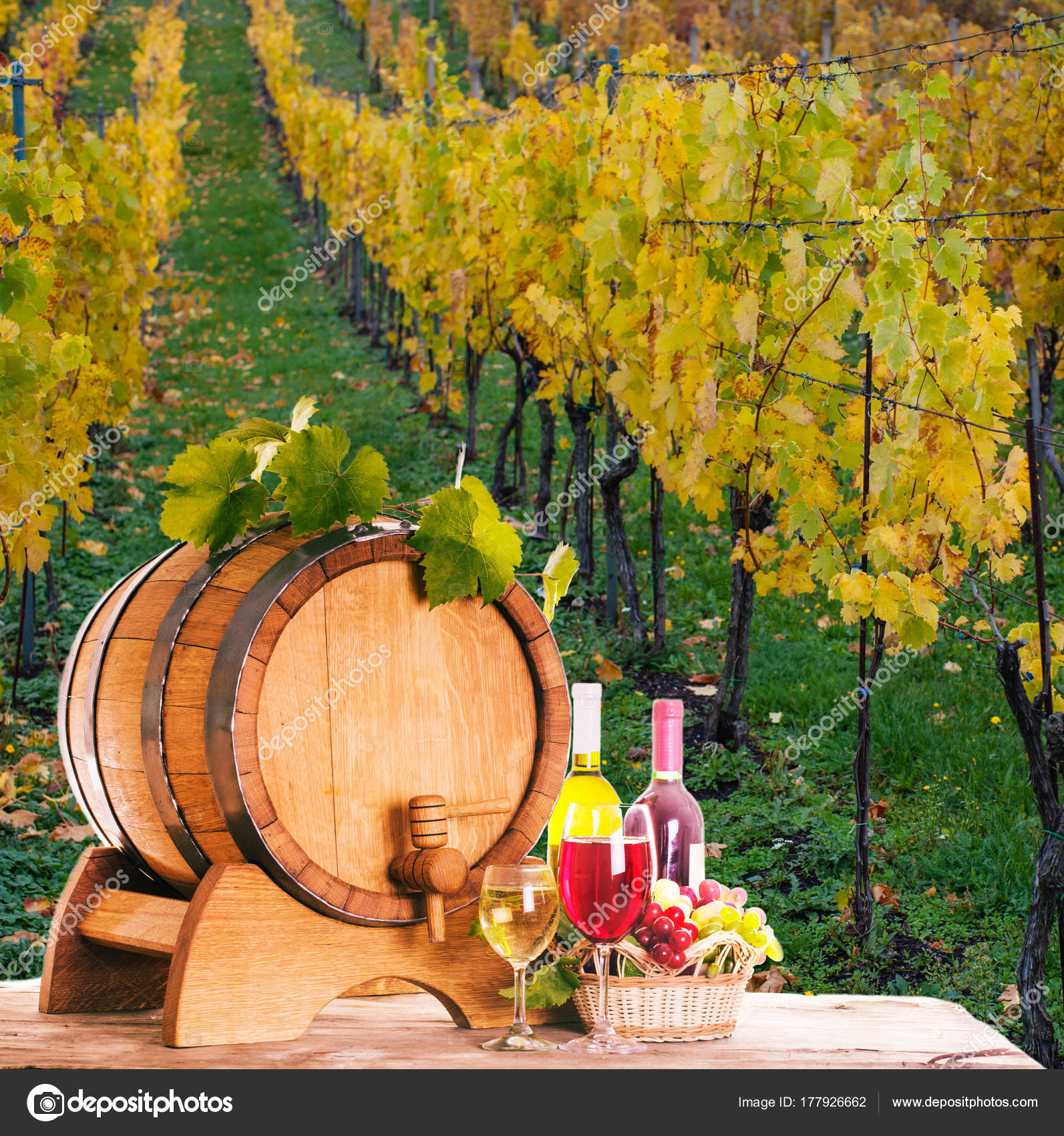 Concept of winery — Stock Photo © oksixx #177926662