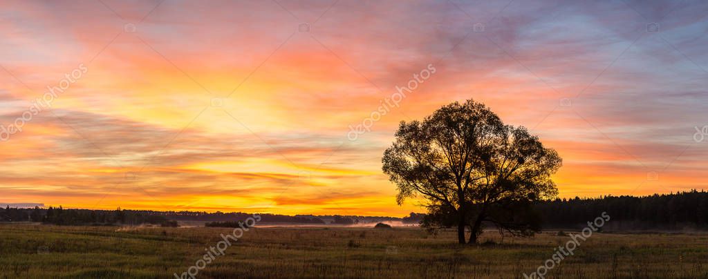 Landscape sunrise in nature Stock Photos, Royalty Free Landscape ...