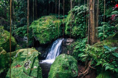Stunning Waterfall Stock Photo by ©kwest 5215754
