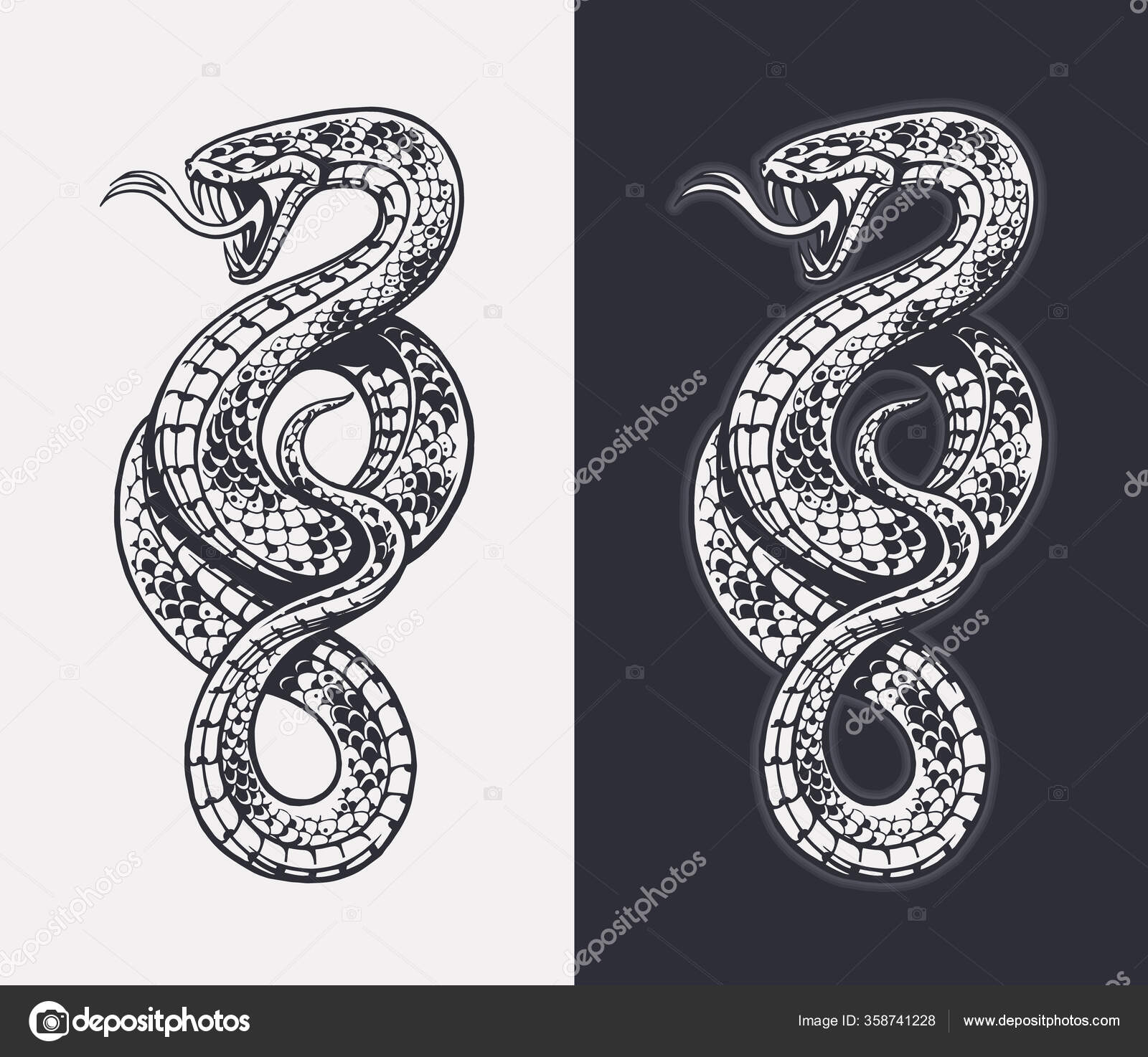 Hand Drawn Snake Isolated White Dark Background Detailed Engraving ...