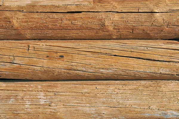 Single Log Texture