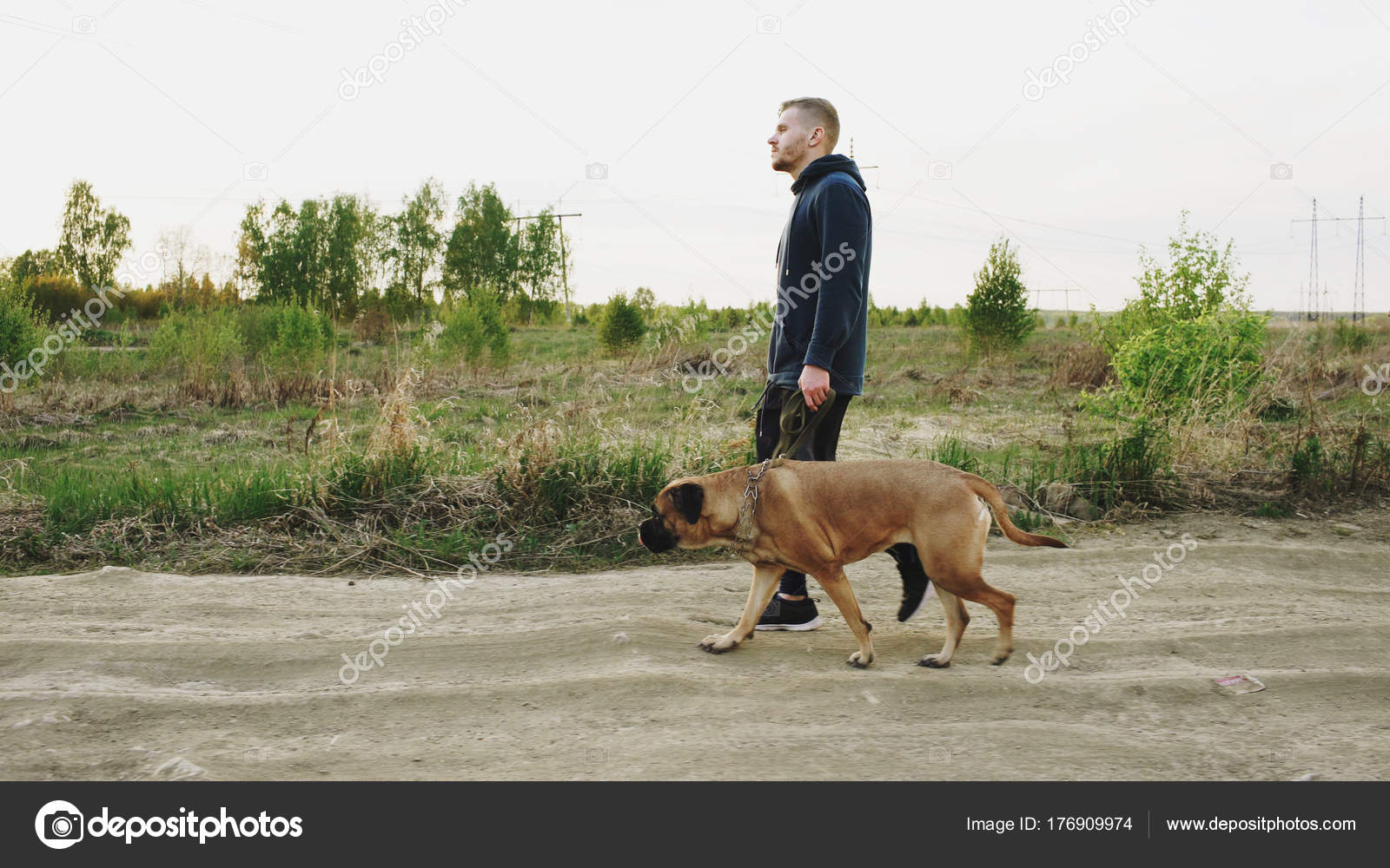 Young sporty man walking with his bullmastiff dog outdoor at nature ...