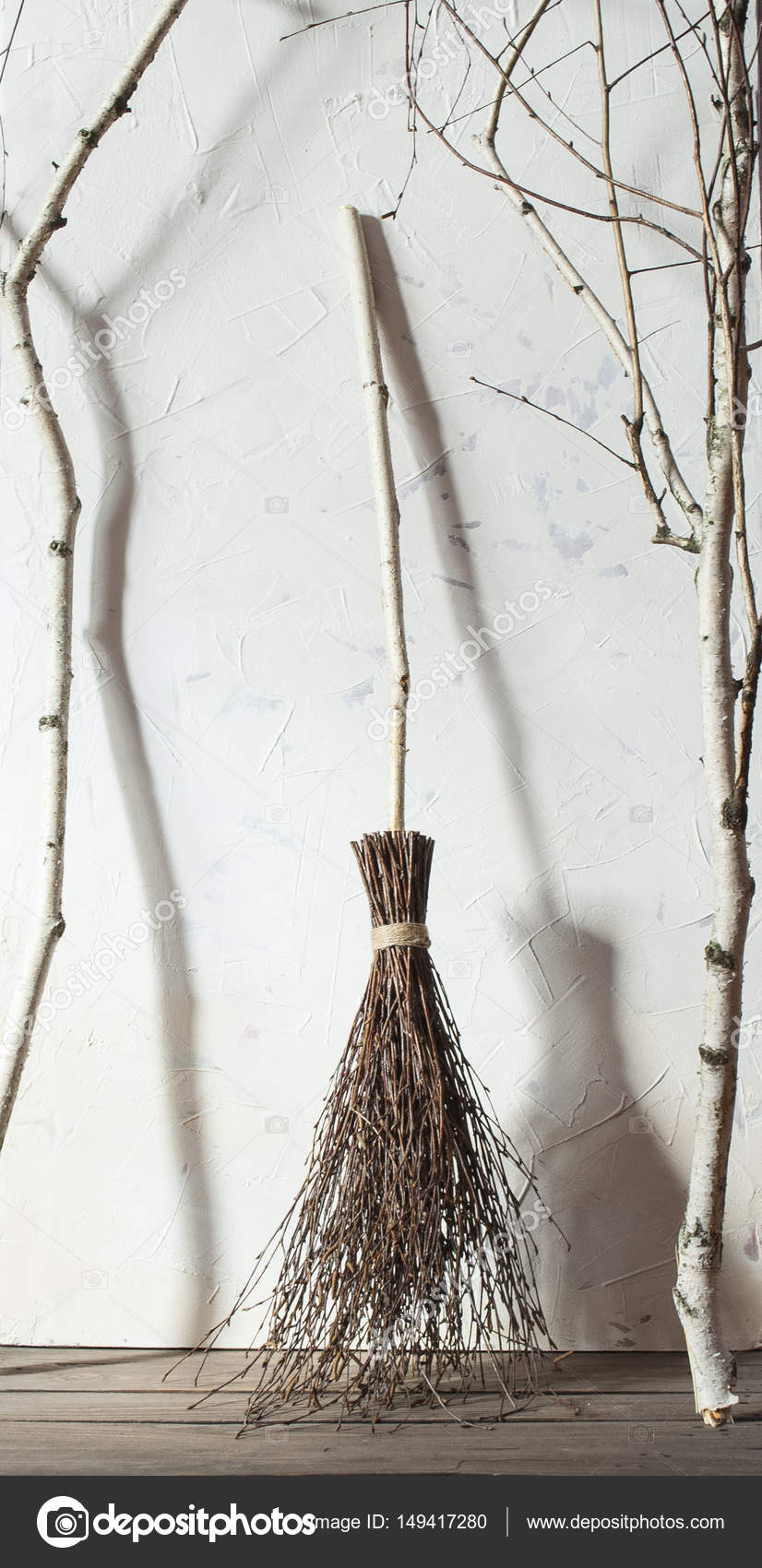 Witch birch broom Stock Photo by ©nanka-photo 149417280