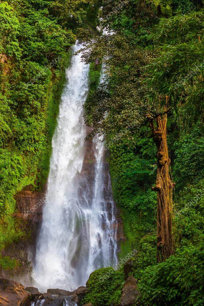 Cascada de Gitgit - Isla de Bali Indonesia — Foto de stock #130532554 ...