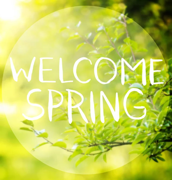 Spring Welcome Slide