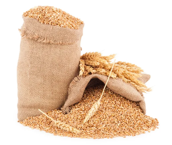 Sacks of wheat grains — Stock Photo © Alexan66 #4411047
