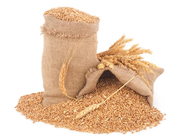 Sacks of wheat grains — Stock Photo © Alexan66 #4411047