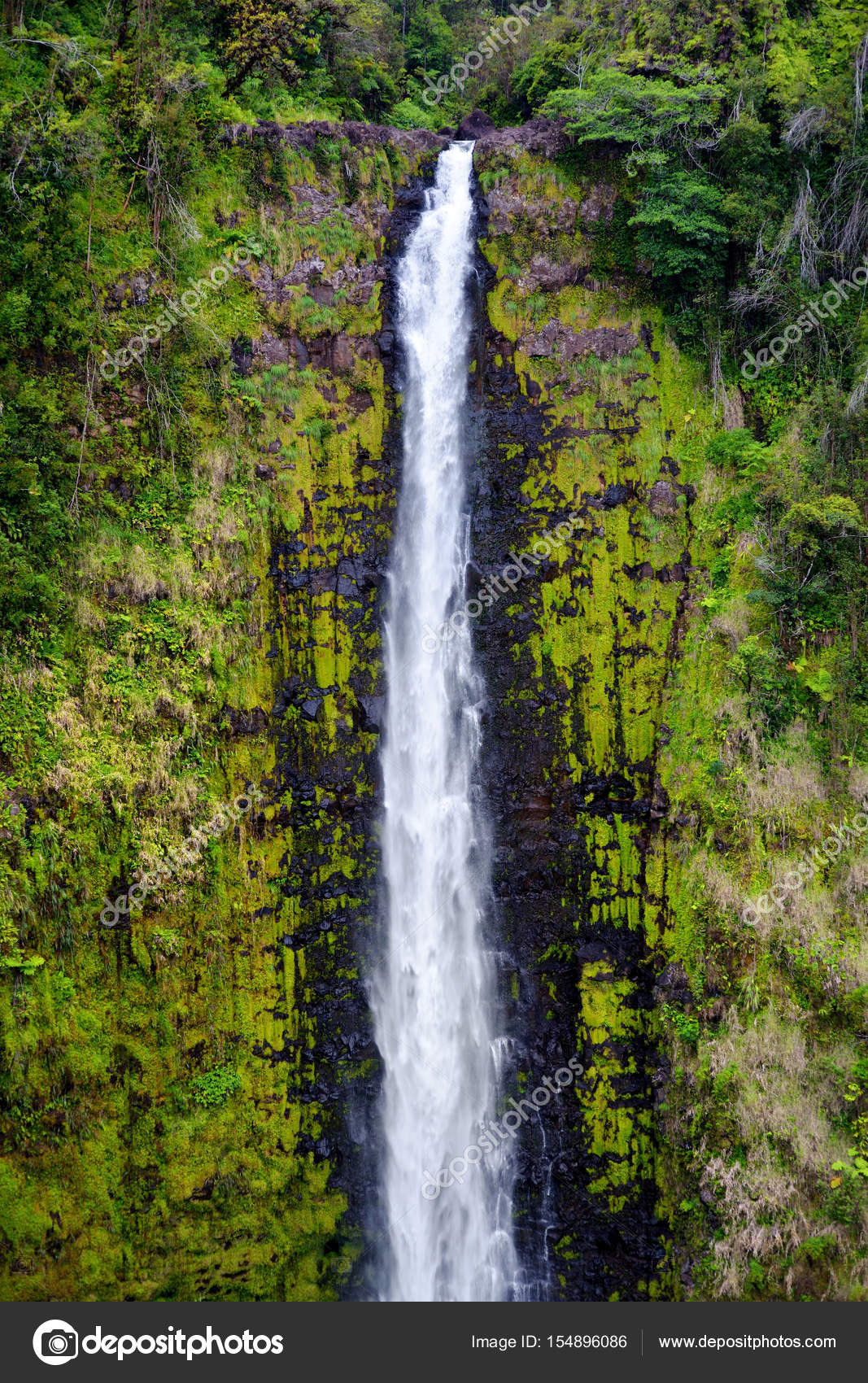 Akaka Falls waterfall Stock Photo by ©MNStudio 154896086